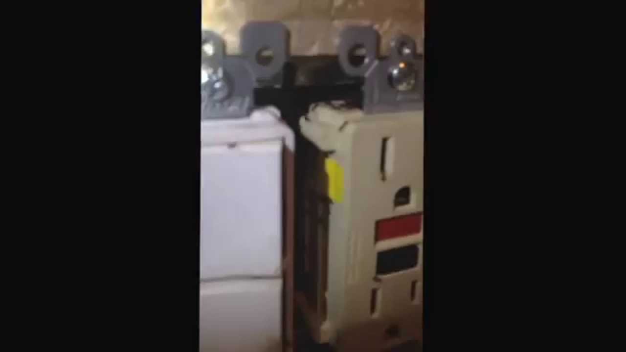 Nest of ants found in the electrical outlet! - YouTube
