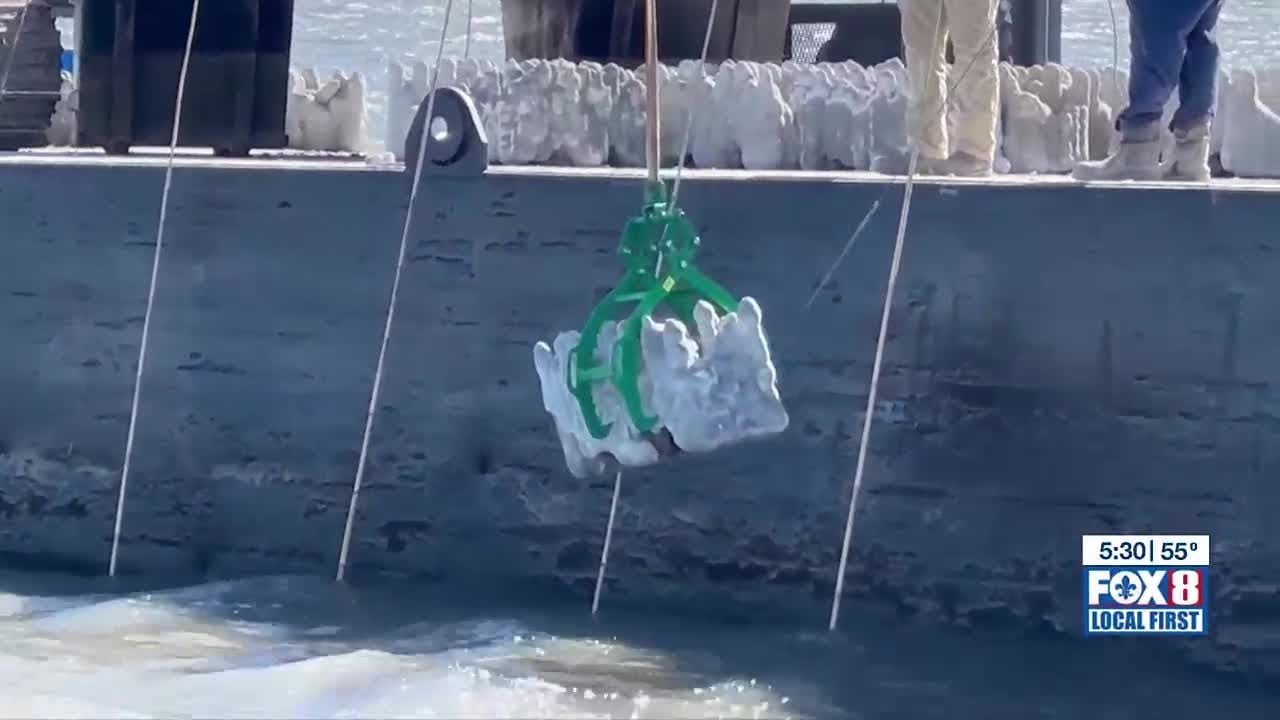 'Cajun Coral' modules create artificial reef in effort to restore ...