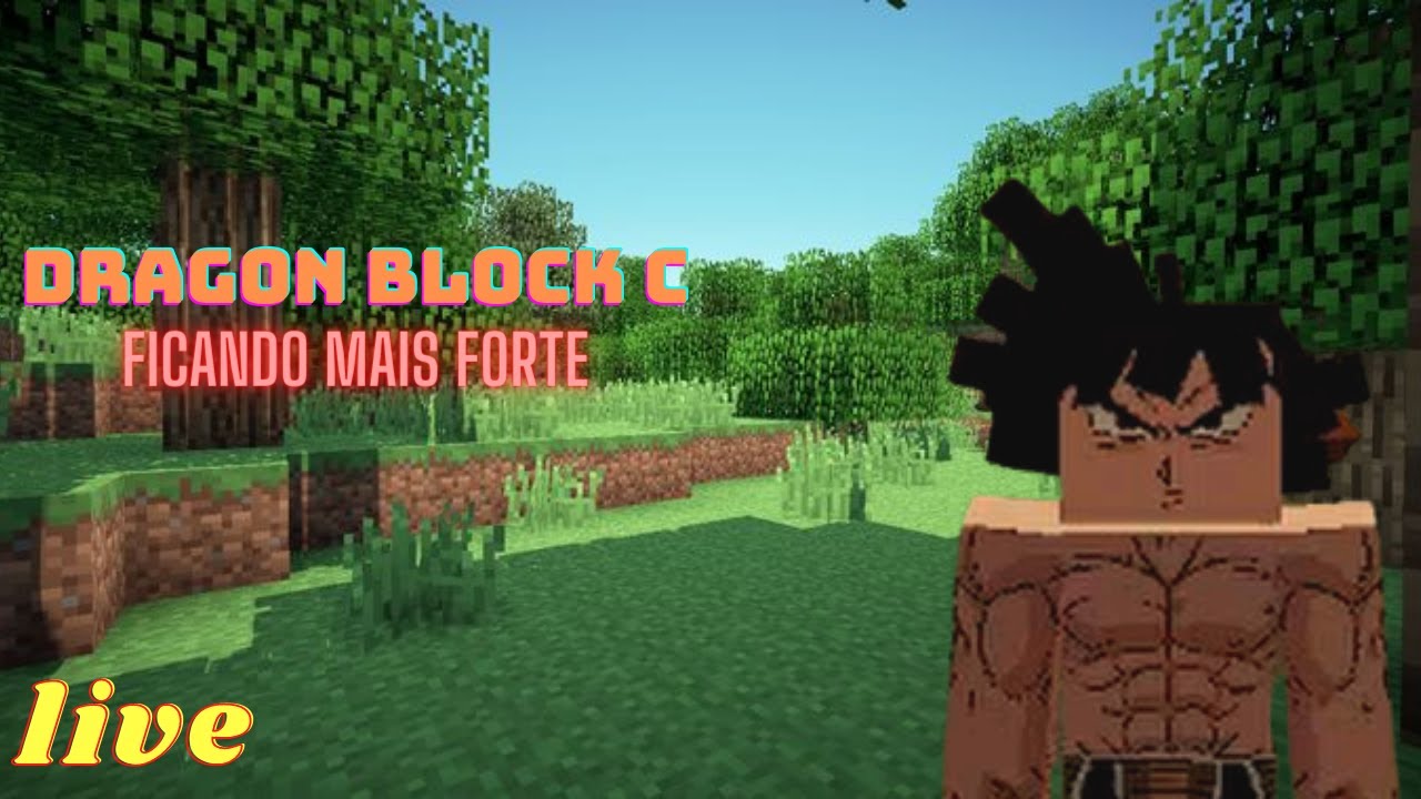 Live De Dragon Block C!! - YouTube