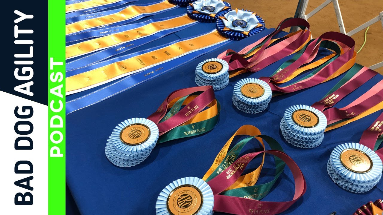 361: Last-Minute AKC NAC Prep - YouTube