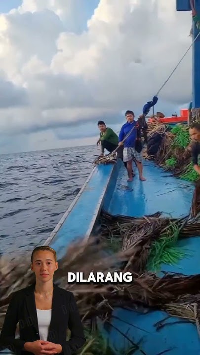 begini cara membuat rumpon di laut - YouTube