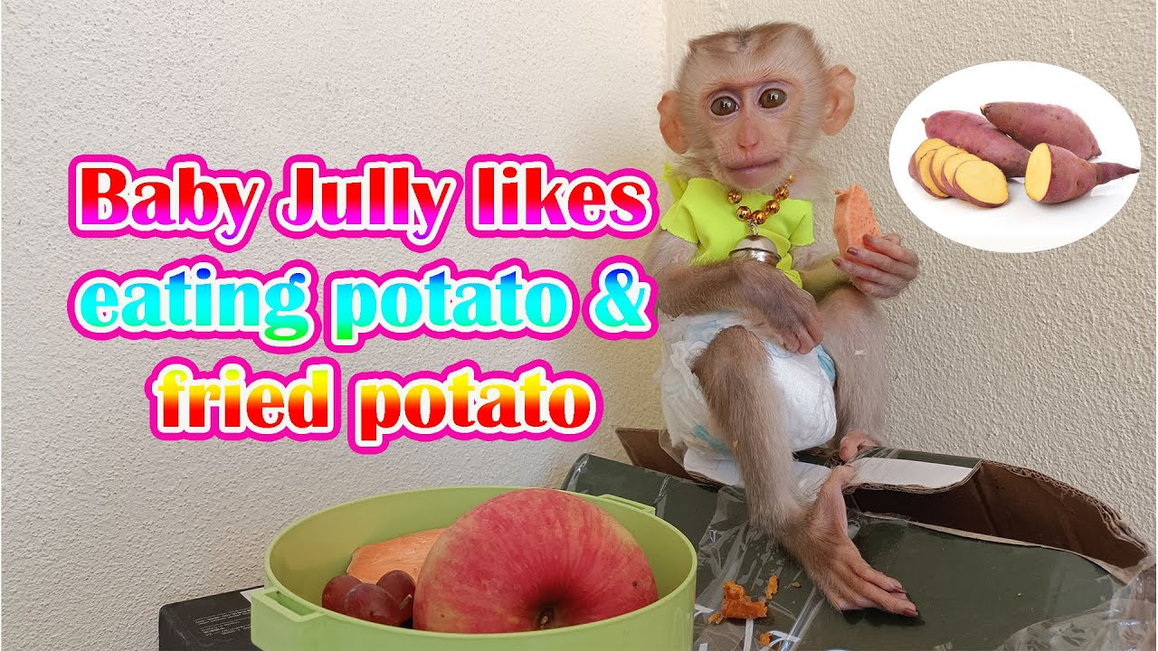 Baby monkey Jully likes eating potato & fried potato 🍠🐒🙊😍 - YouTube