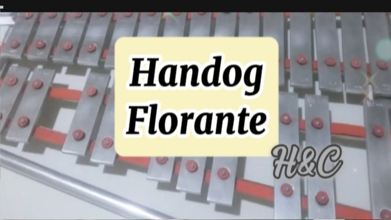 HANDOG/FLORANTE/LYRE XYLOPHONE COVER/H&C ENTERTAINMENT - YouTube