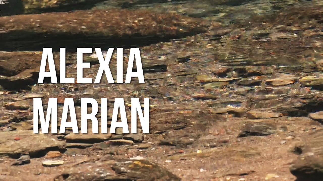 Chispa de Amor - Alexia Marian (Lyric Video) - YouTube