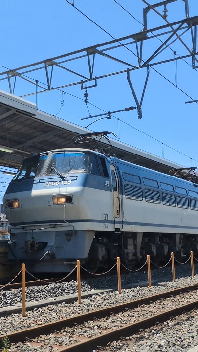 【6時間遅れ】EF66-125 遅れ82レ 平野通過 - YouTube