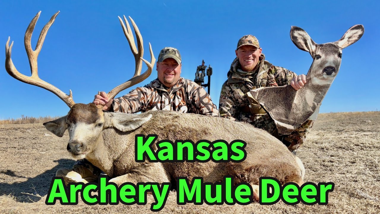 Bow Hunting Kansas Mule Deer - Jarrod's 2023 Buck - YouTube