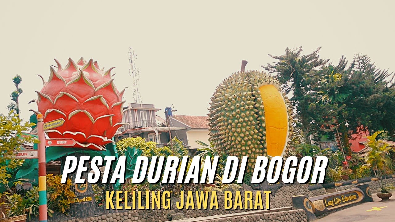 KEBUN DURIAN WARSO FARM - PESTA DUREN !!! Keliling Jawa Barat - YouTube