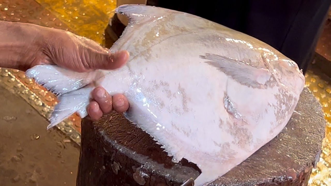 Amazing Big Pomfret & Hilsa Fish Cutting Live In Fish Market | Fish ...