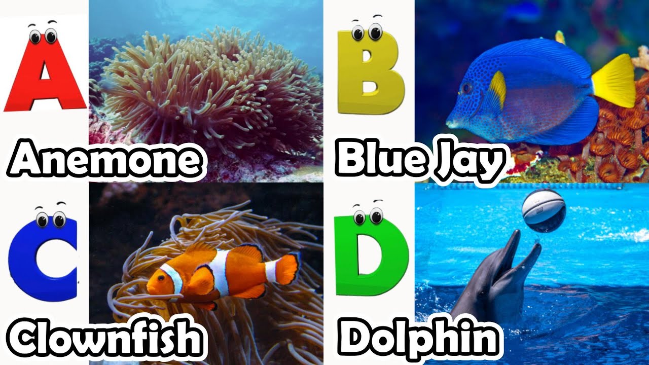 ABC phonics animals | ABC Sea Animals song | English and Animals for ...