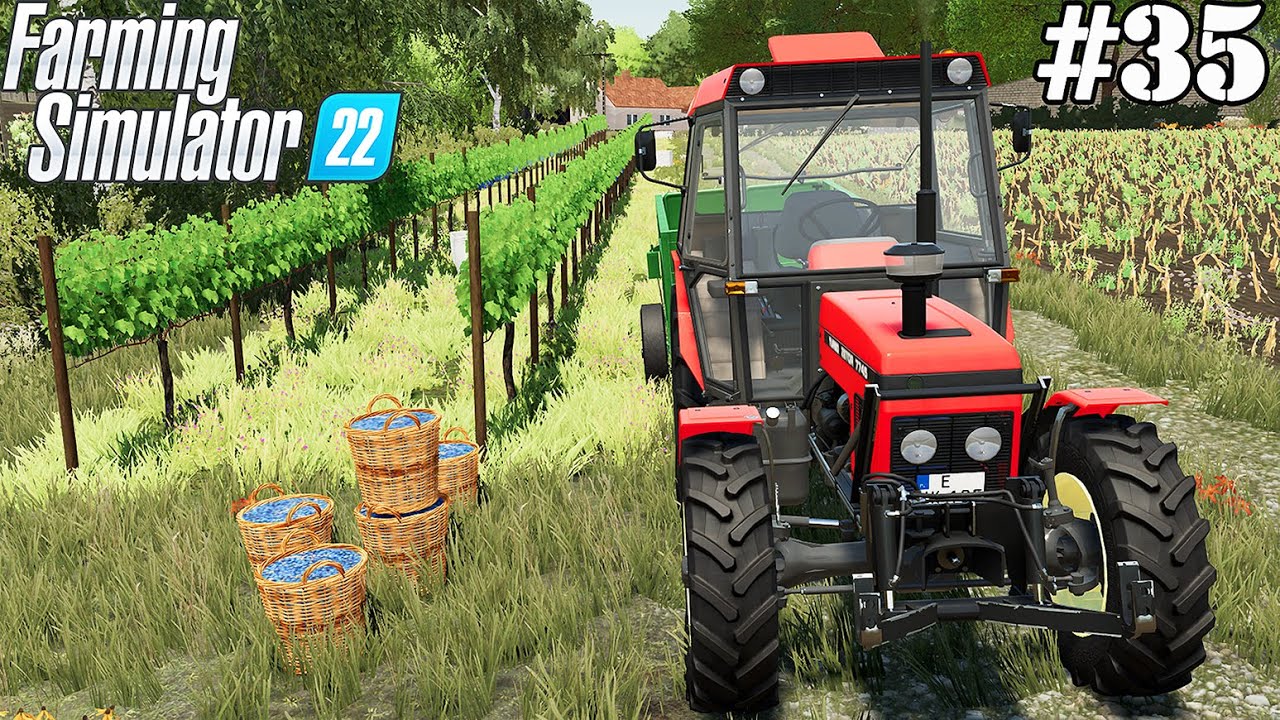 Purchase of a feed mixer. Grape harvest. Selling moonshine. Kolonia ...
