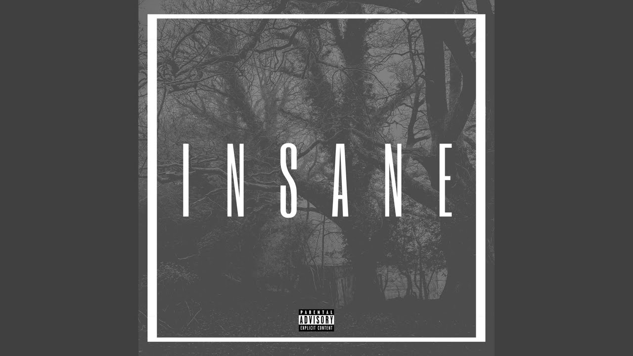 Insane YouTube insane-youtube