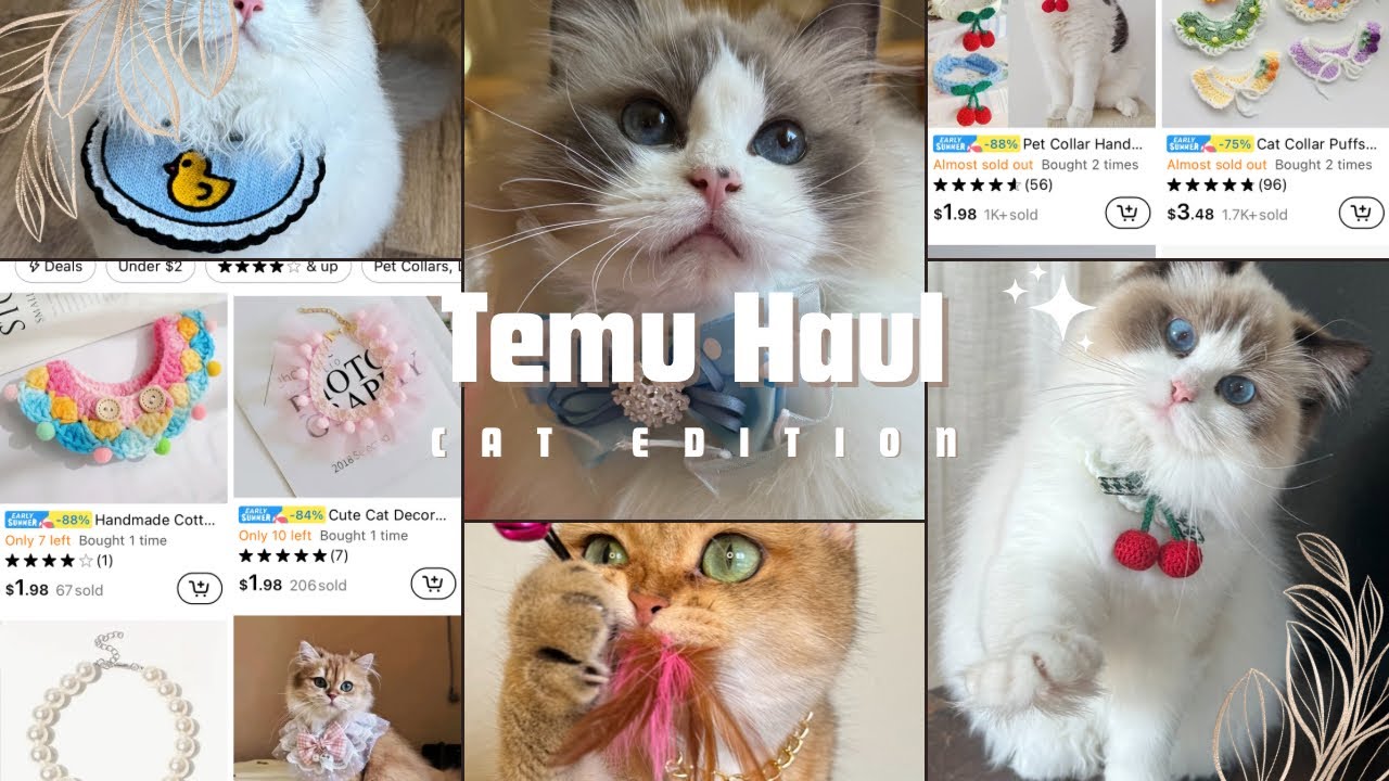 Temu Haul-Cat Edition - YouTube