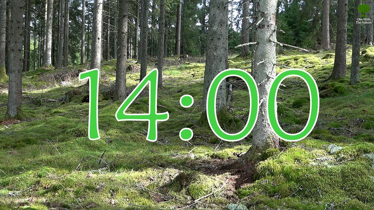 14 Minute Nature Timer with Alarm - Countdown with Relaxing Birdsong Sound - Mossy Green Pine ...