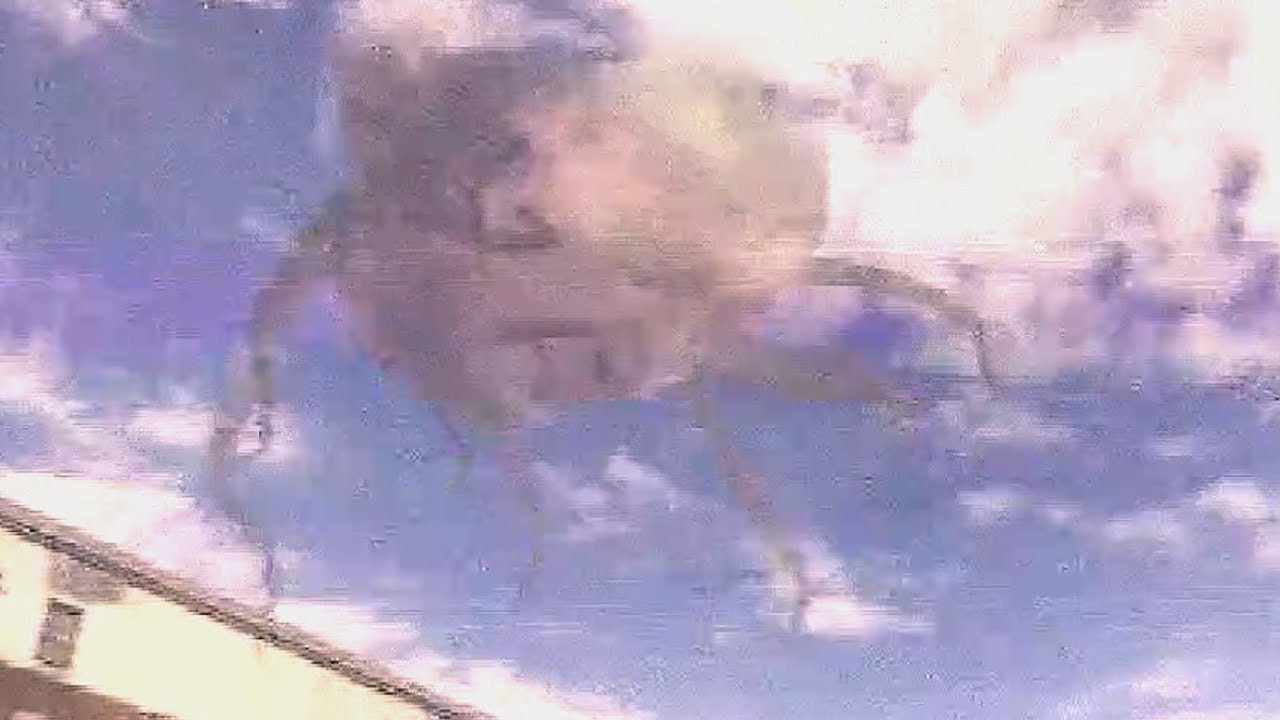 This Meteorite Almost Seems Alive... | Paraedolon - YouTube