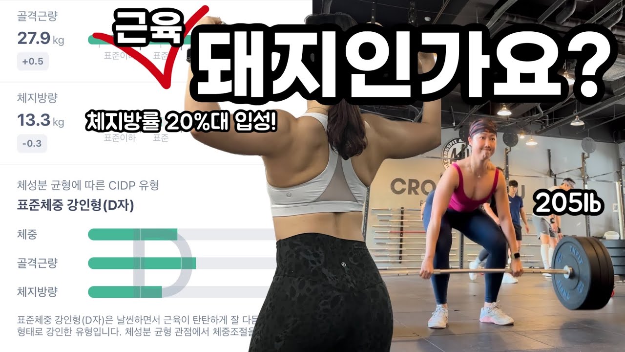 다이어트vlog08 체지방률 20 입성 운동량 줄였는데 근육량은 왜 자꾸 오르는데🤭 퇴사 후 일상 크로스핏 호박젼과 데이트 오트밀 식단 레시피 Youtube
