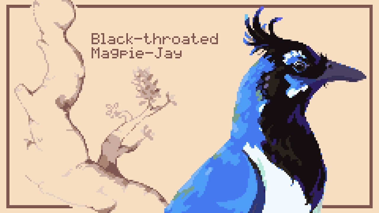 Black-throated Magpie Jay - Pixel Art Timelapse - YouTube