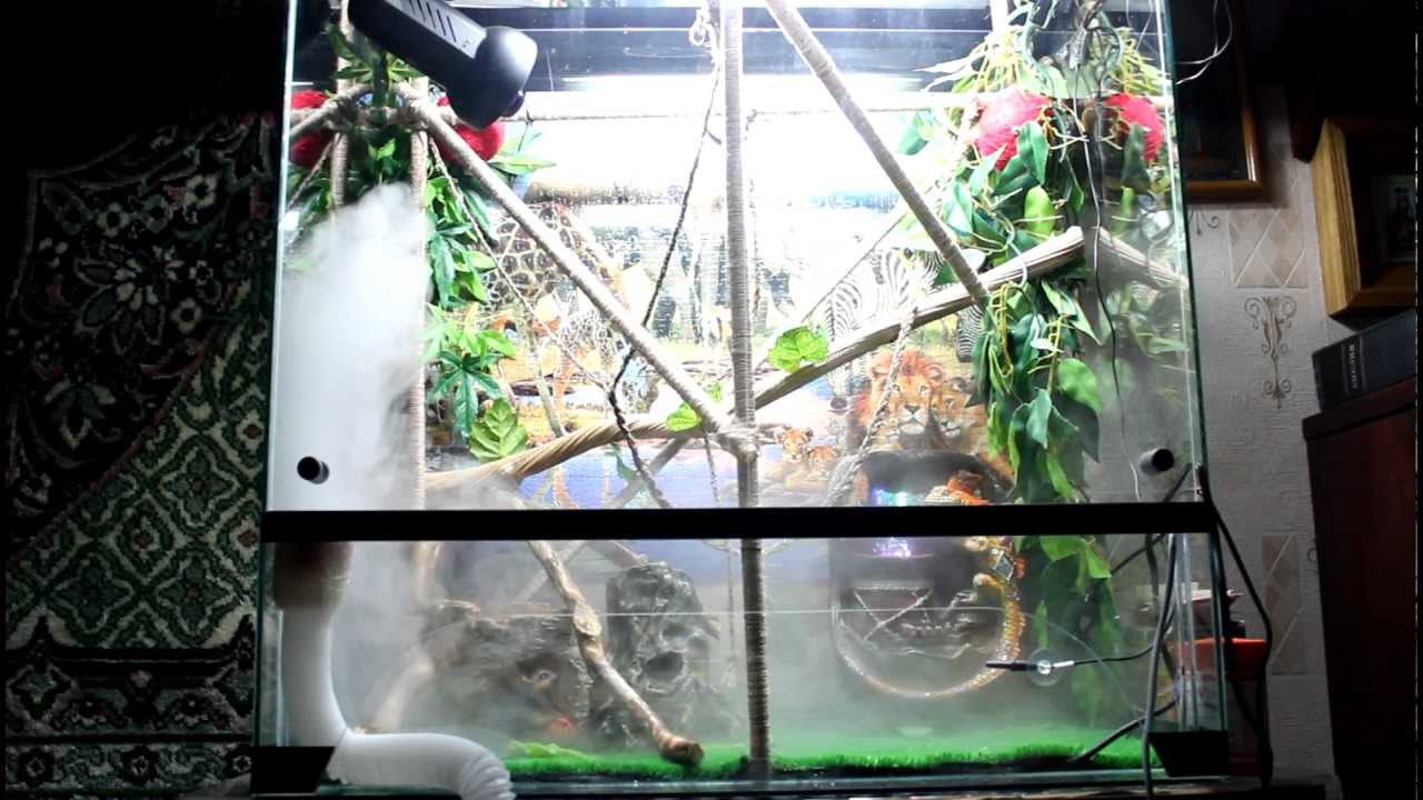 Super Fog Lucky Reptile - YouTube