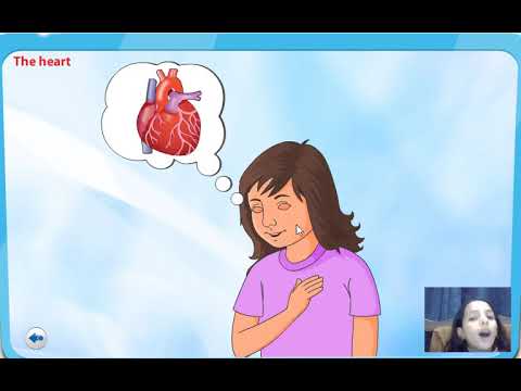 Learn Human Body Parts- Class 2 - YouTube
