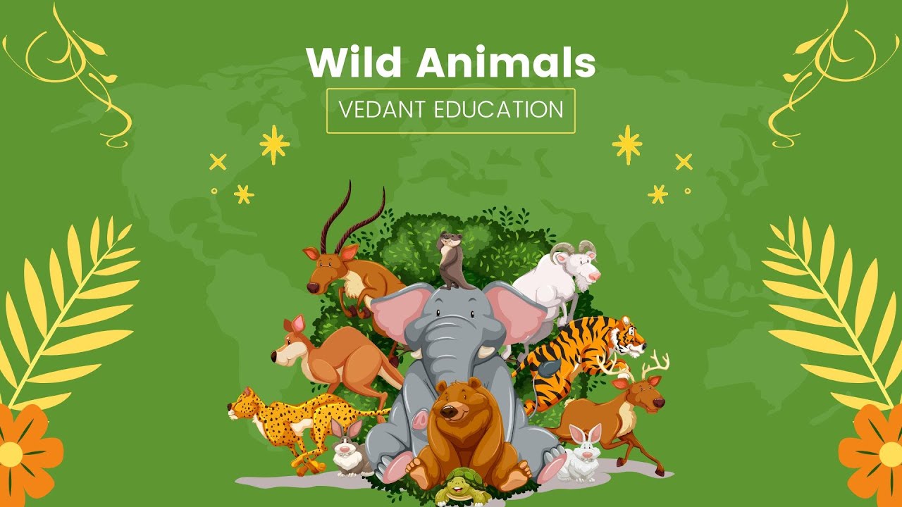 Wild Animals | Kids Vocabulary | Vedant Education Kids - YouTube