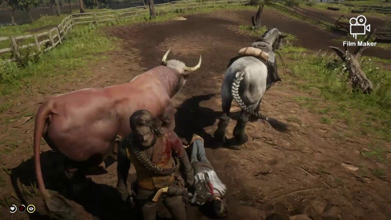 RDR2 - Rodeo Bull Roundup - YouTube