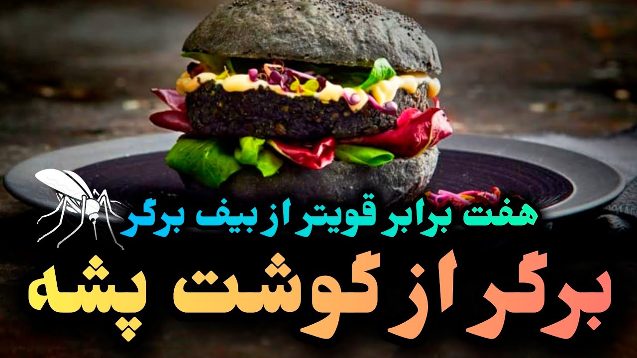 برگر پشه | Mosquito Burger | برگر‌ از گوشت پشه هفت برابر قویتر از بیف ...