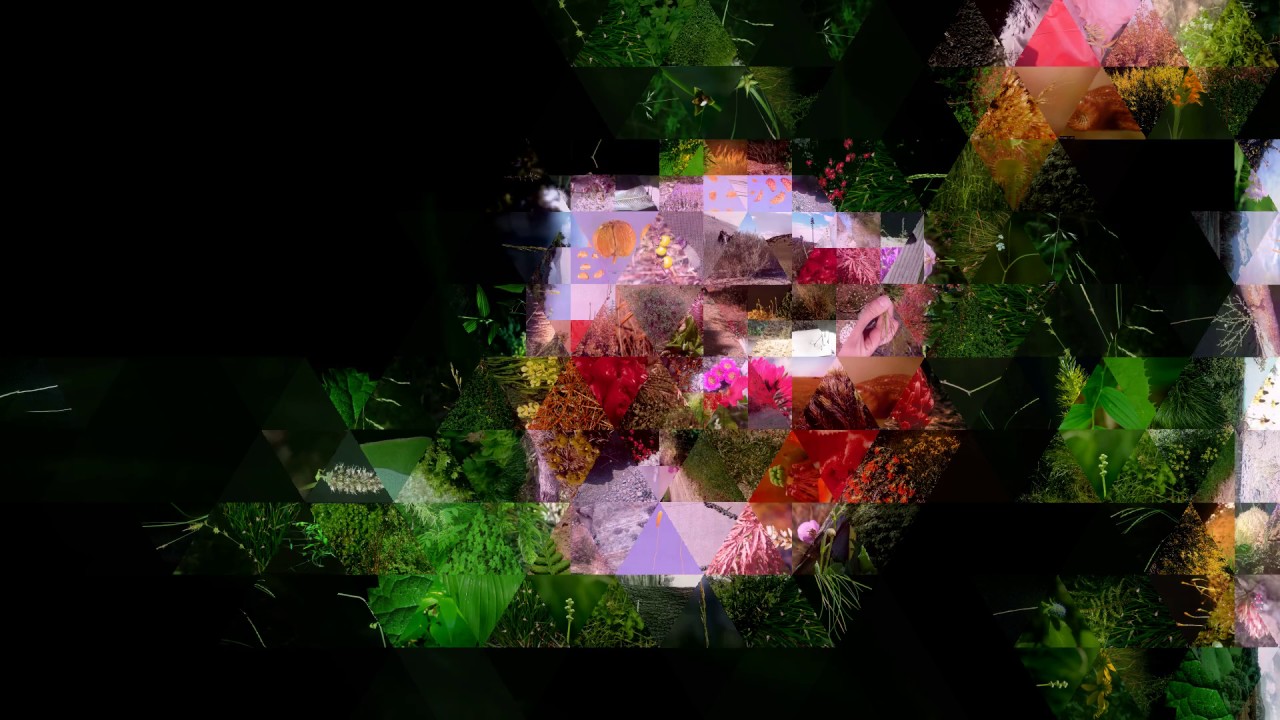 AndreaMosaic HD Example - YouTube