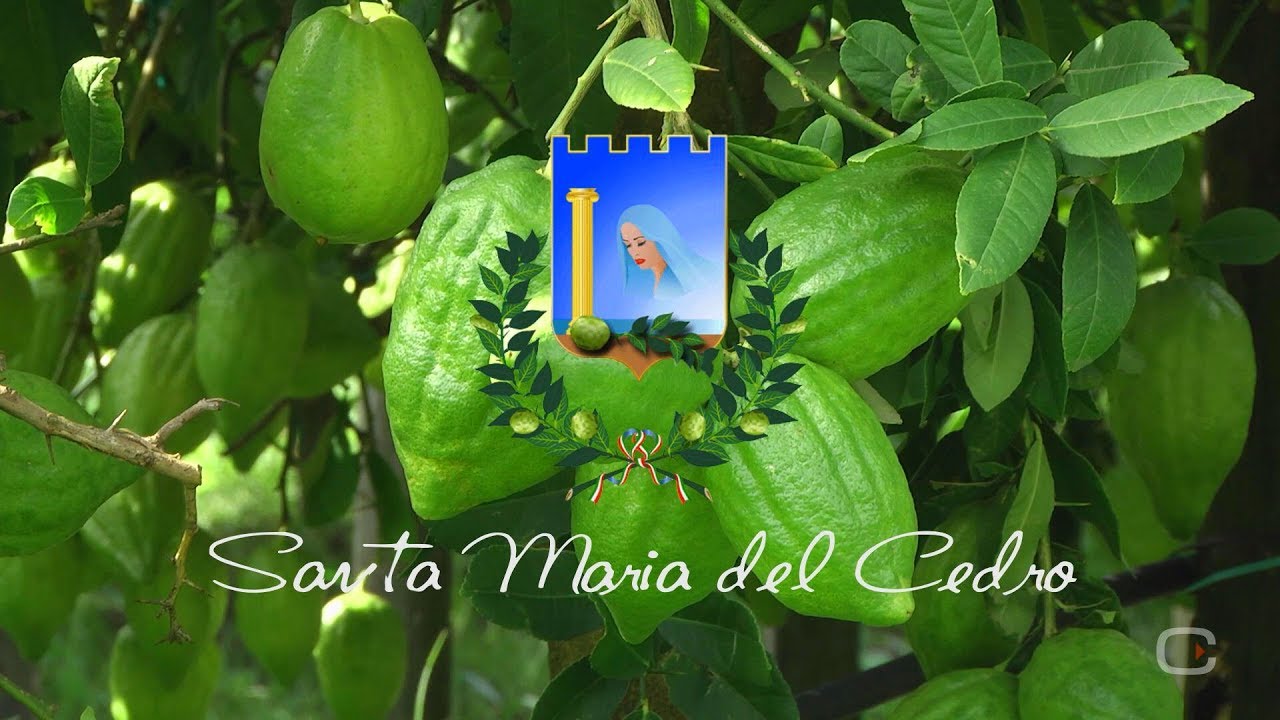 Santa Maria del Cedro :: Calabria :: ITALY :: 2017 - YouTube