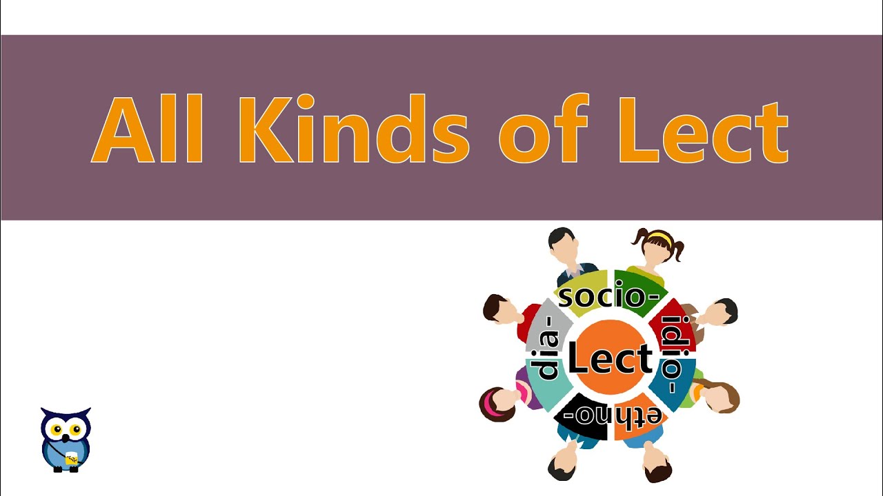 All Kinds of Lect - YouTube