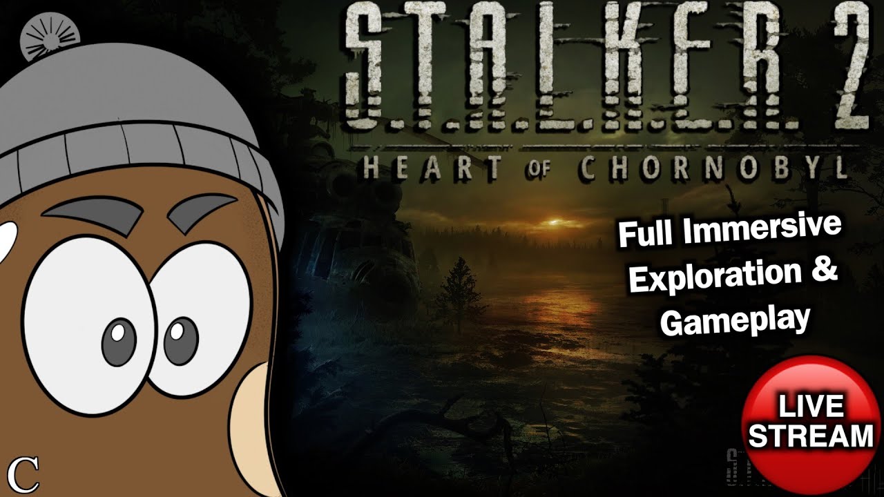 STALKER 2 Meta Rank Pro Gameplay - YouTube