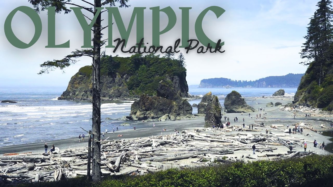 The Tree of Life is Incredible! Ruby Beach and Kalaloch Beach - YouTube