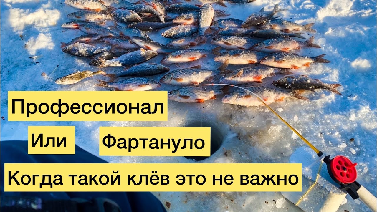 БОЛЬШАЯ РЫБАЛКА НА МАЛЕНЬКИЕ УДОЧКИ РЫБАЛКА РЕФТИНСКОМ ПОПАЛ НА РАЗДАЧУ ...