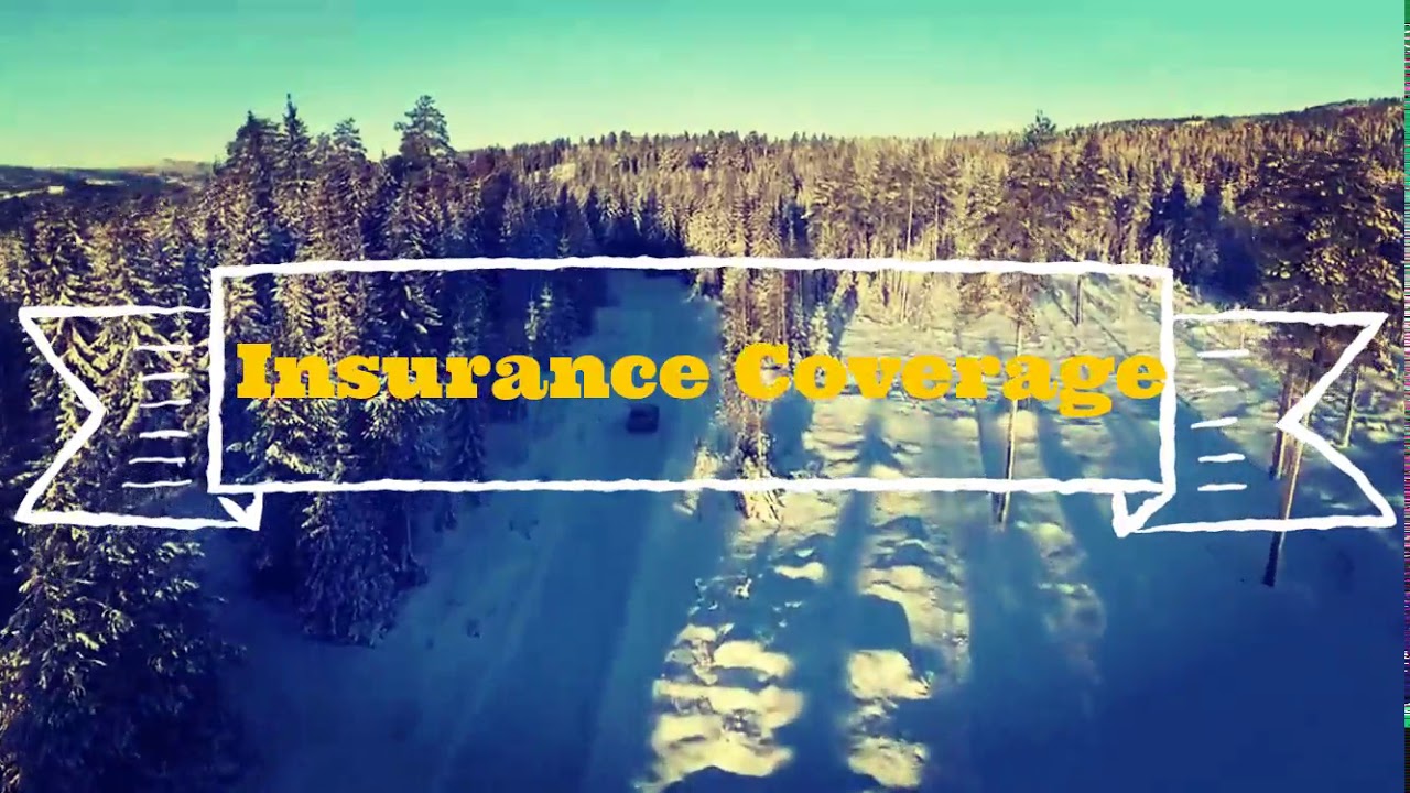 Cheap Snowmobile Shipping & Transport Services - YouTube