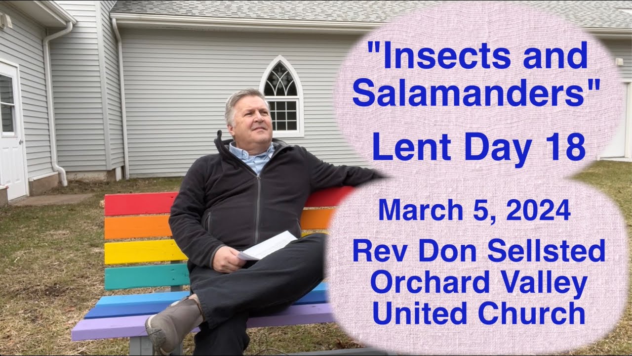 Rev Don's 18th Day in Lent Reflection for March 5, 2024 - "Insects and ...