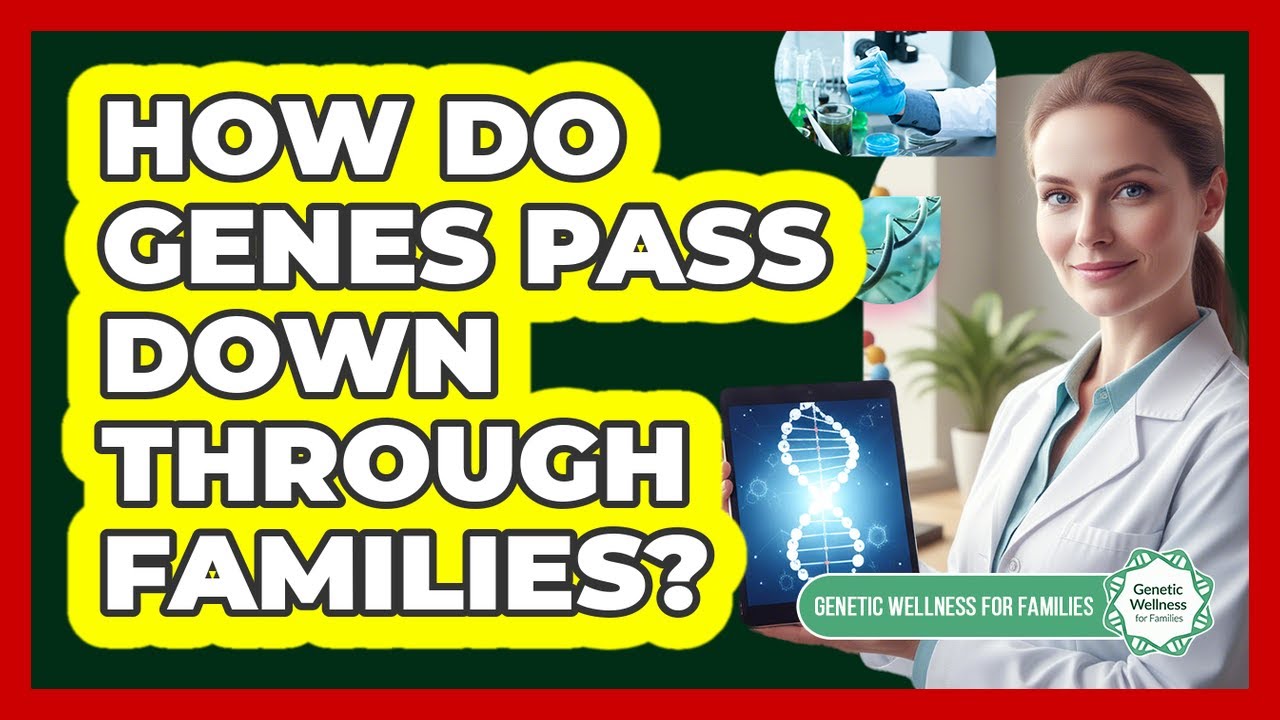 How Do Genes Pass Down Through Families? - YouTube