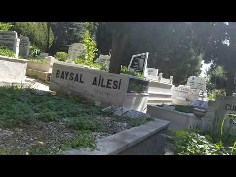 TEVHİD BİLGE,IN MEZARI