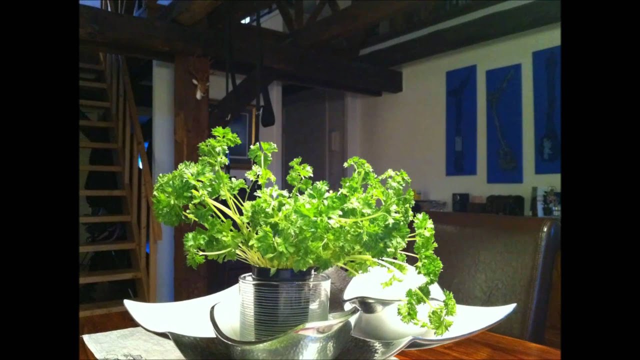 Lille Persille.wmv - YouTube