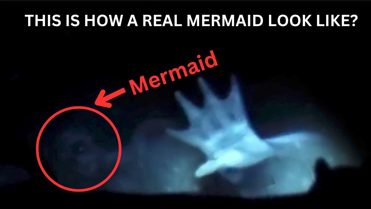 Does Mermaids really have exist? Mermaid mystery revealed - YouTube