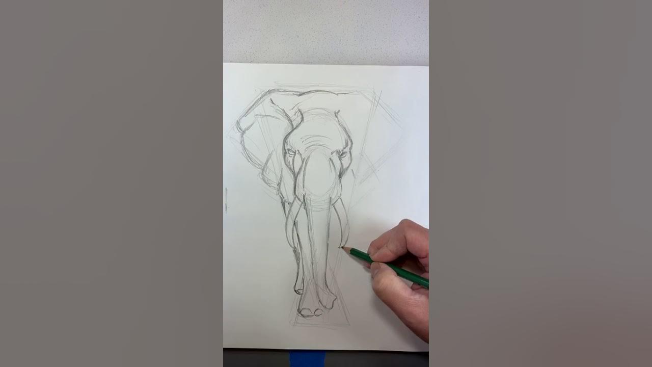 African Elephant drawing - YouTube