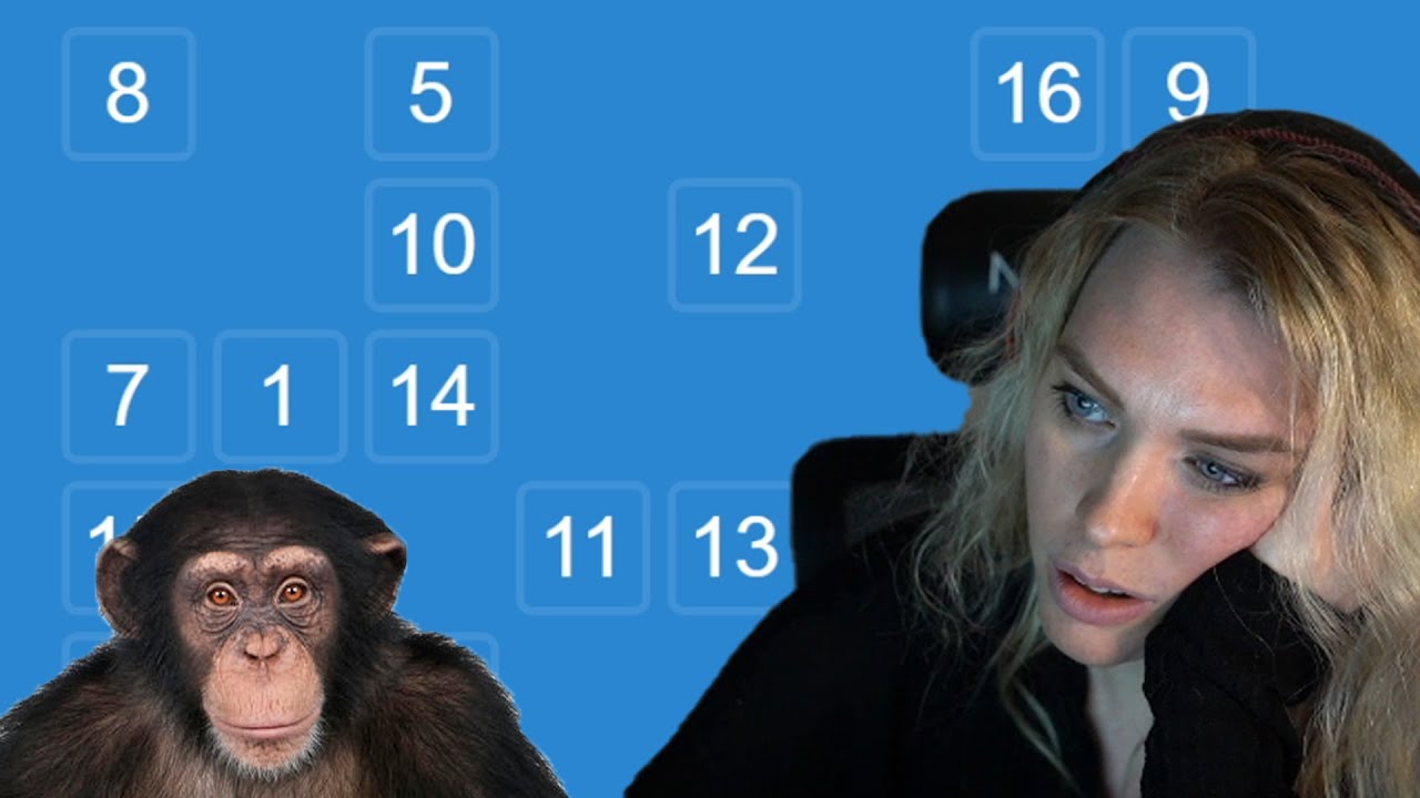 QTCinderella takes the Chimpanzee Memory Test - YouTube