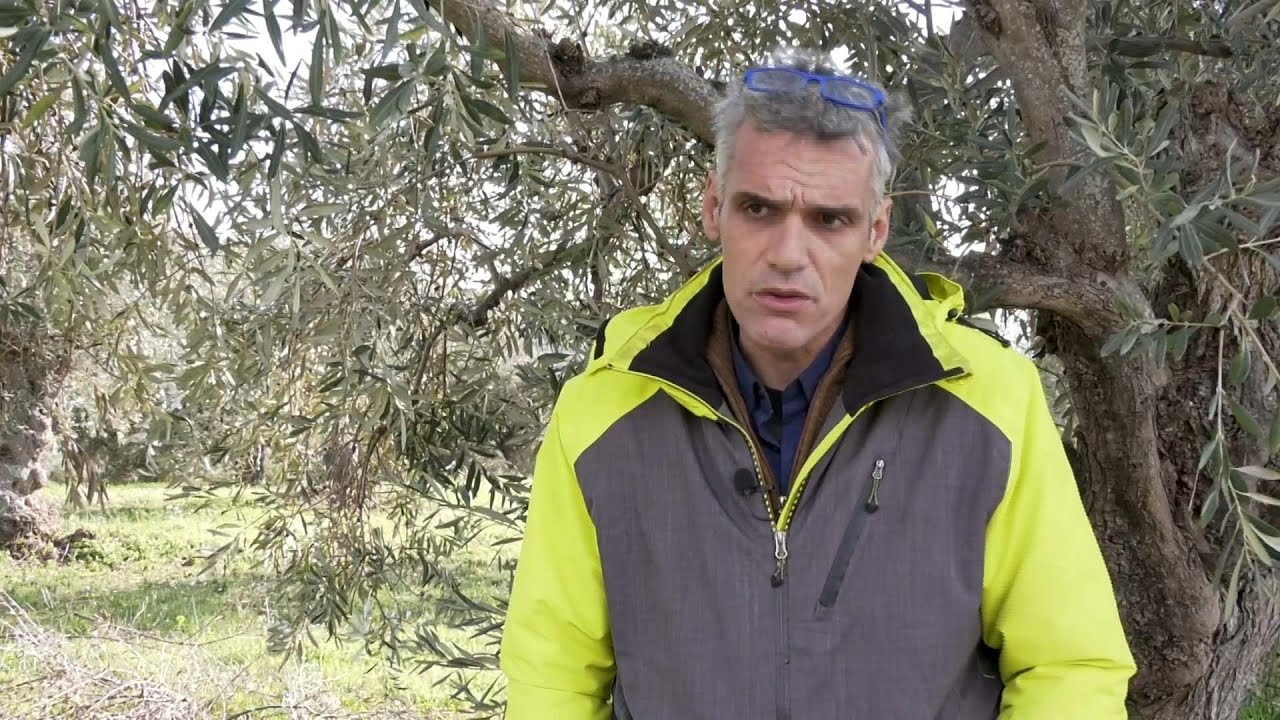 ΜΥΣΤΗΡΙΟ ΣΤΗΝ ΑΡΓΑΛΑΣΤΗ ΜΕ ΣΤΗΜΕΝΟ ΣΚΗΝΙΚΟ - «ΖΩ ΜΕ ΤΟΝ ΦΟΝΙΑ ΤΟΥ ...