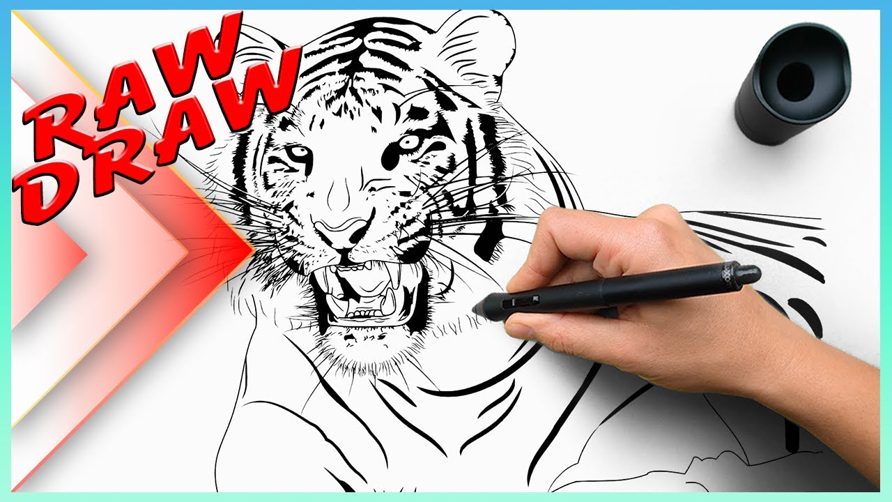 how to draw WILD TIGER | Raw Draw - YouTube