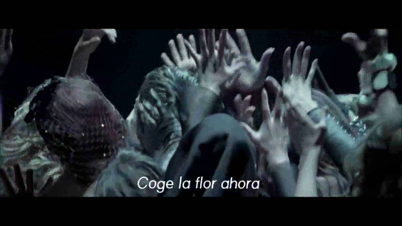 Nine- Trailer en español - YouTube