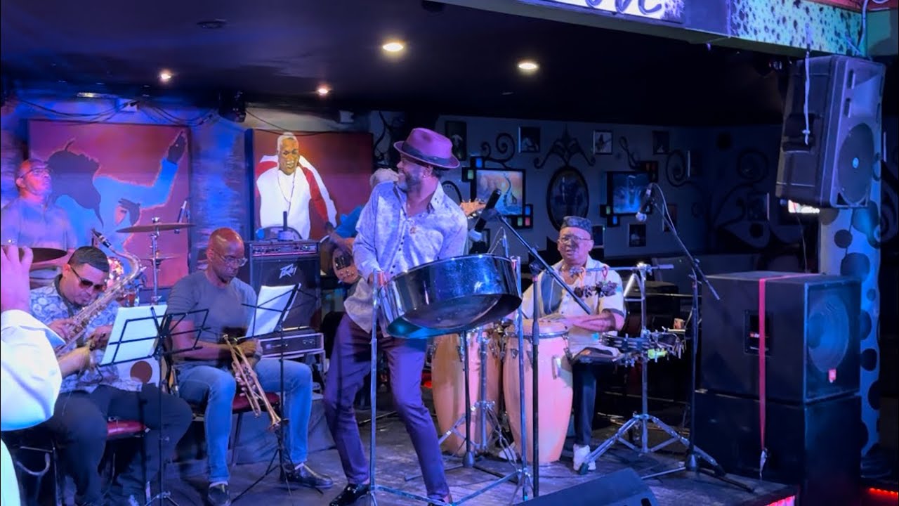 Steel and Voices: Trinidad All Stars Panist Dane Gulston - YouTube