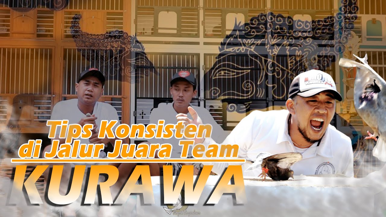 Grebek Kandang Team Kurawa || Borong Juara di Putaran PMTI Pangandaran ...