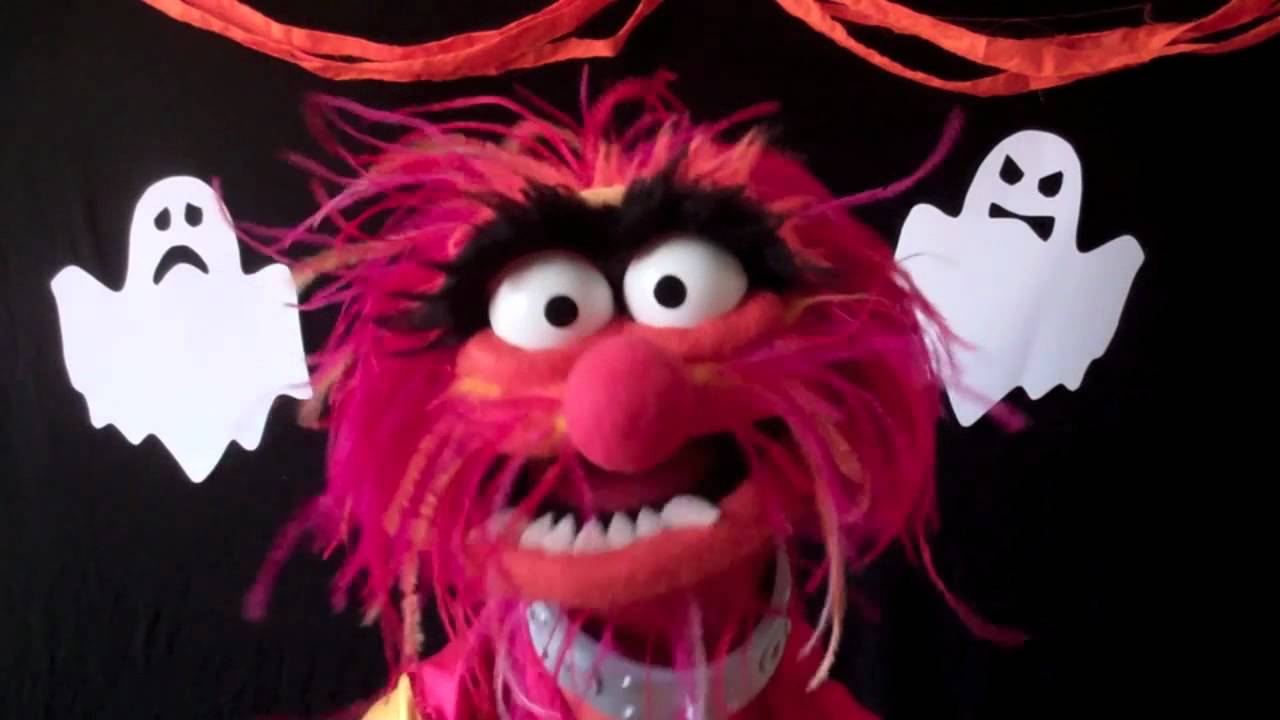 Muppets Animal Costume