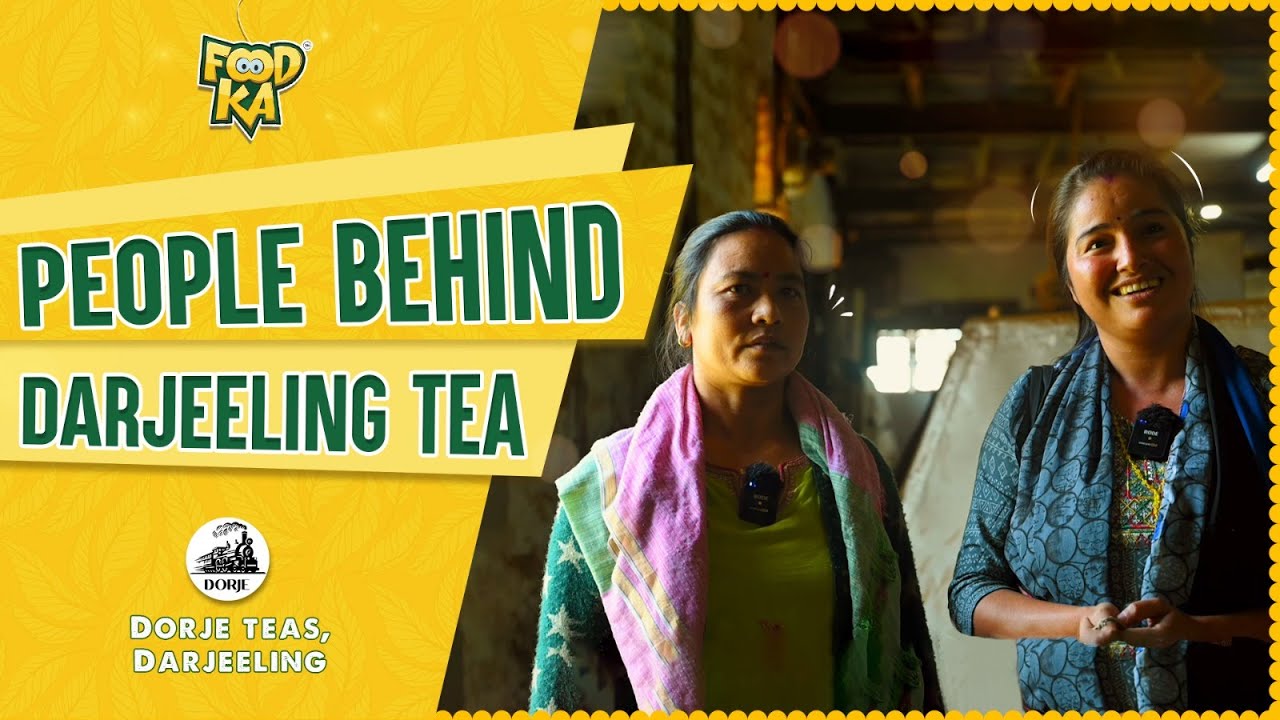 The Secrets Of Darjeeling Tea: A Fascinating Day With Its Makers ...