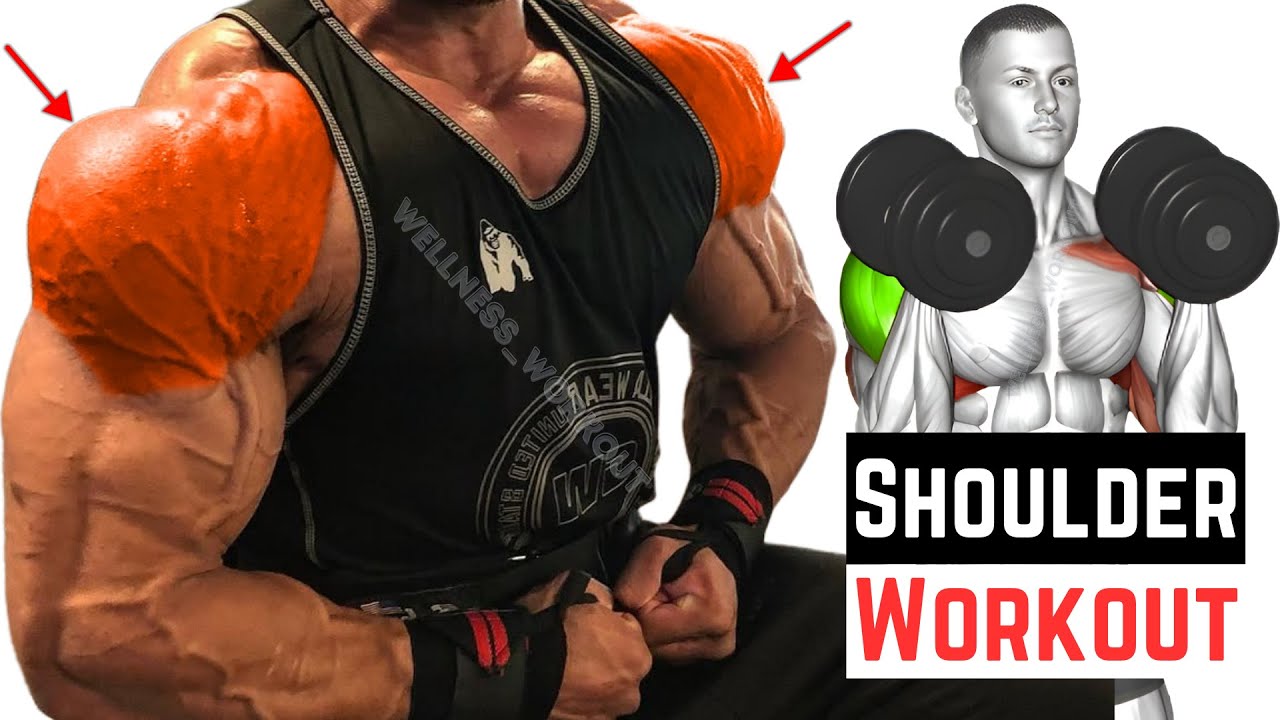 Shoulder Workout | Build Stronger Delts & Bigger Shoulders - YouTube
