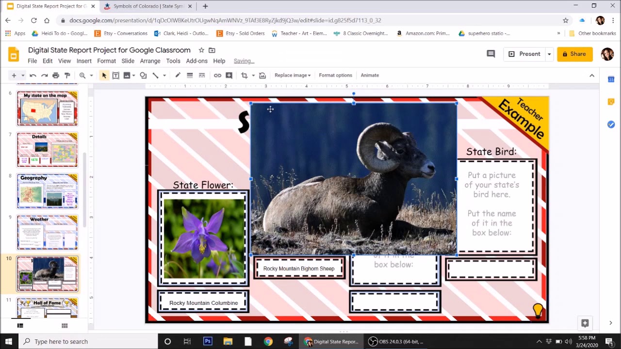 Digital State Report Project for Google Slides: Slide 9 - State Symbols ...