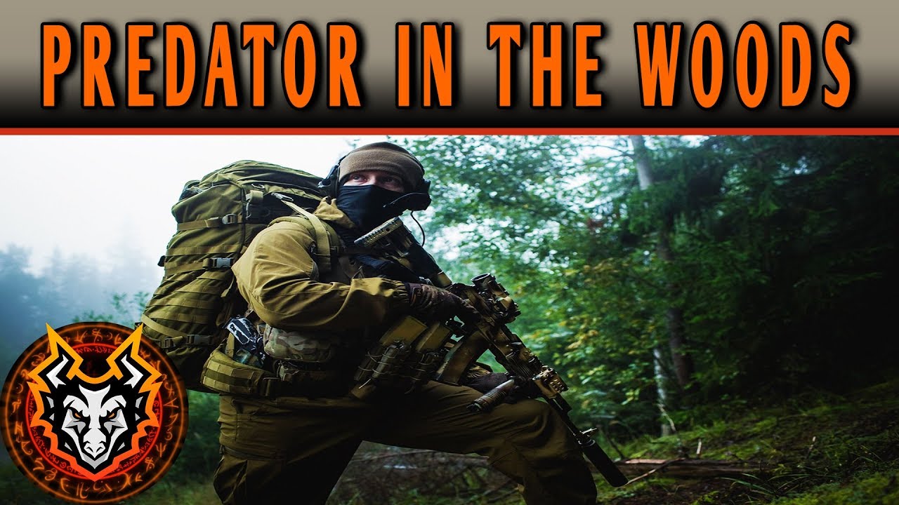 PREDATOR IN THE WOODS | SOLO WOODS RAID | ESCAPE FROM TARKOV - YouTube