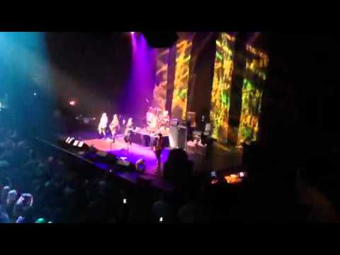 The GoGo's Live in Austin